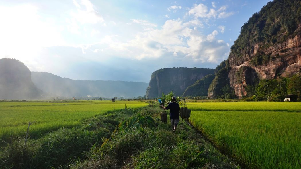 Sumatra: Waarom de Harau Vallei op jouw bucketlist moet staan ...